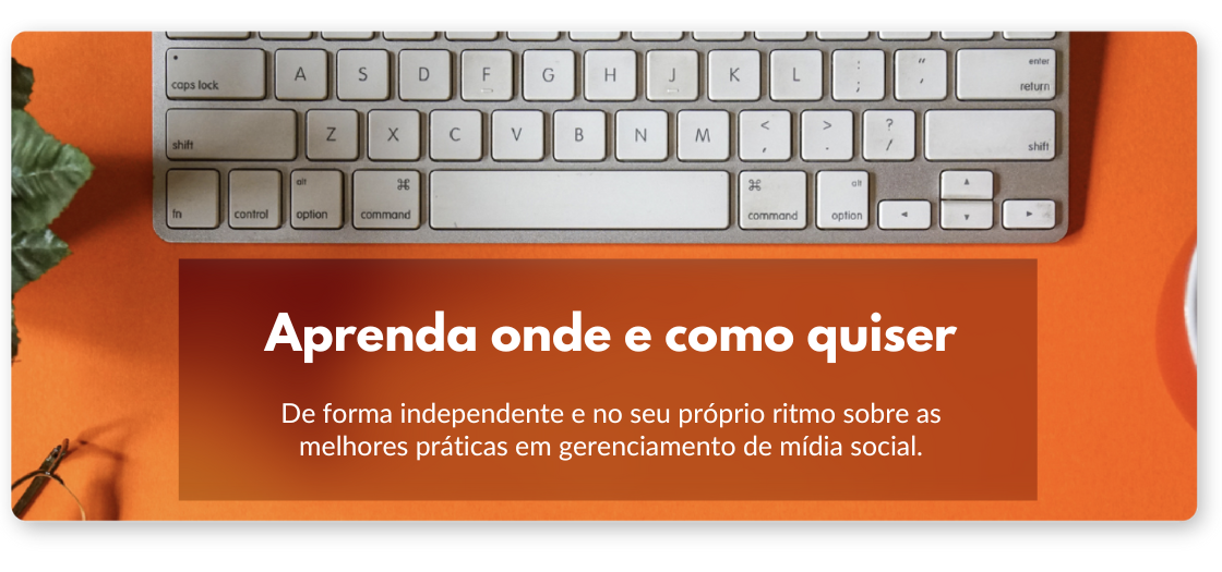 Universidade do Buzz